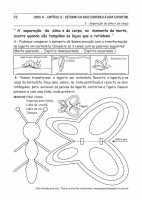 Livro 2 - Capítulo 3 - Retorno da vida corpórea à vida espiritual ...